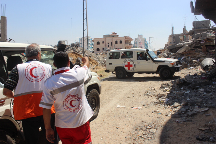 Red Cross Australia - Plasma for Palestine